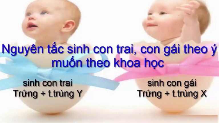 5 cách tính sinh con theo ý muốn cực chuẩn năm 2023 - Chào Bác Sĩ